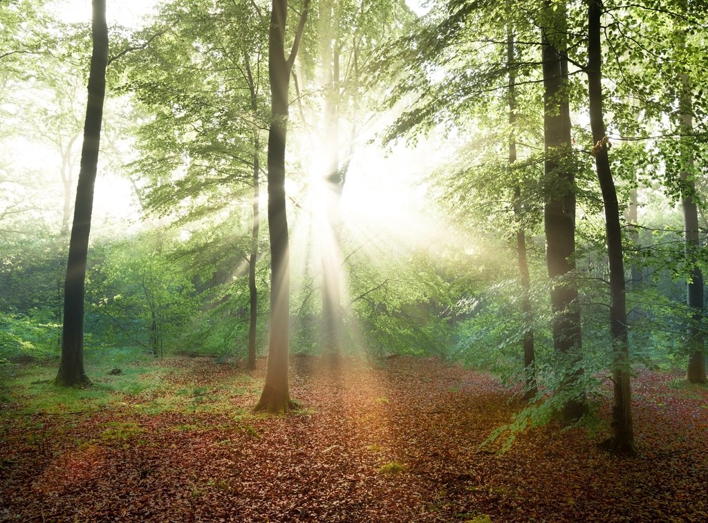 Energy-Efficient HVAC Solutions for Commercial Buildings – Temple Air ...